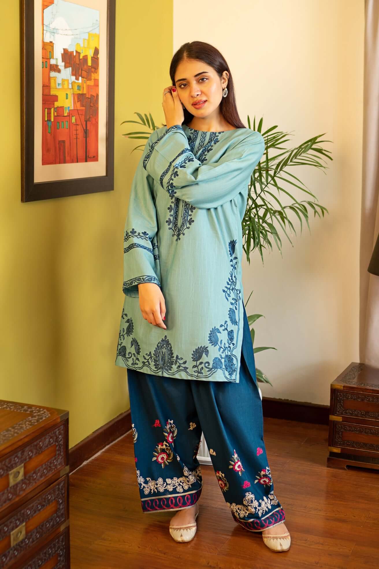 2 Piece Unstitched Heavy Embroidered Dhanak Suit – Turbolight